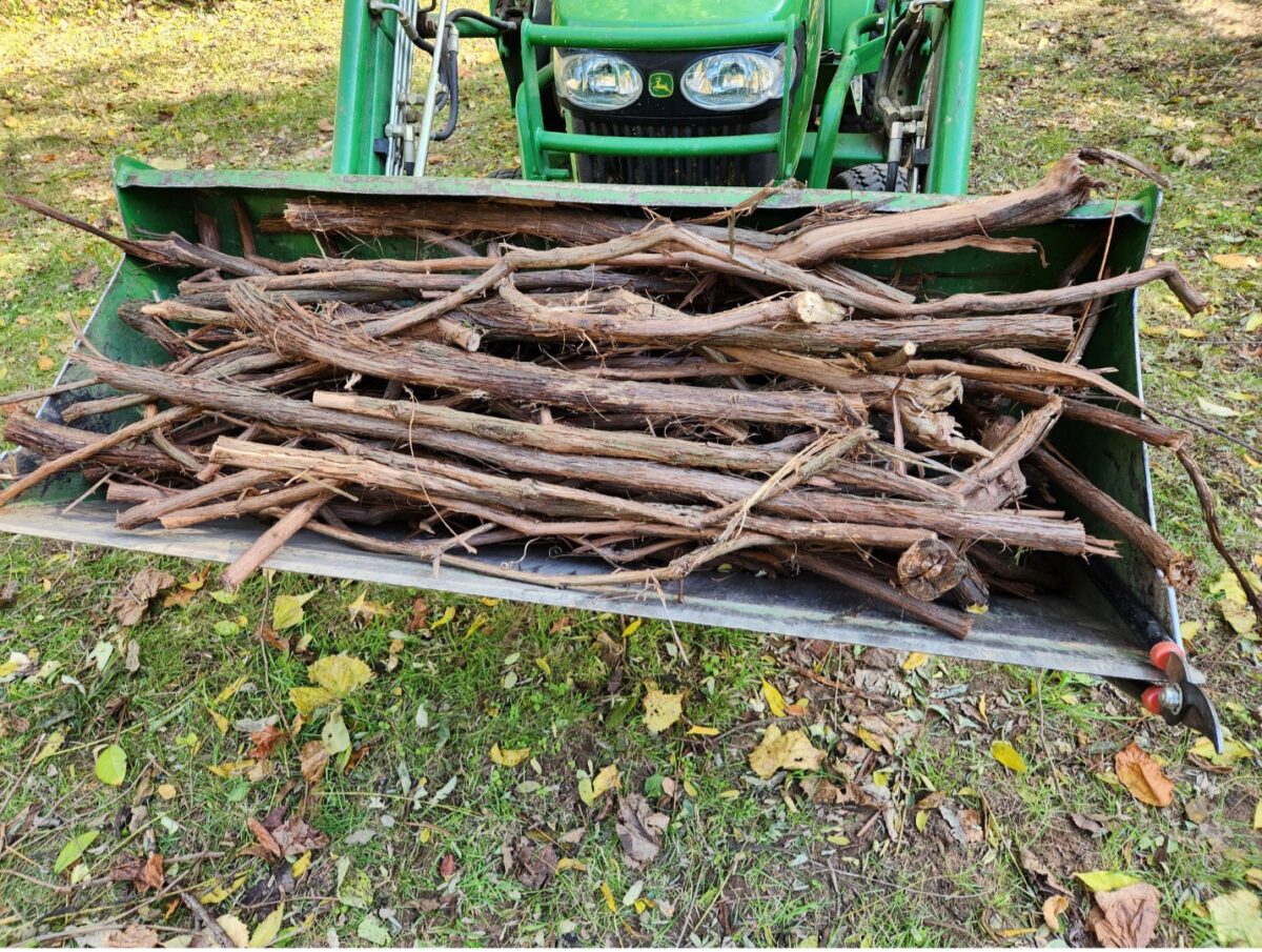 Behold the Power: The Golden Moutza of the Month - John Kass